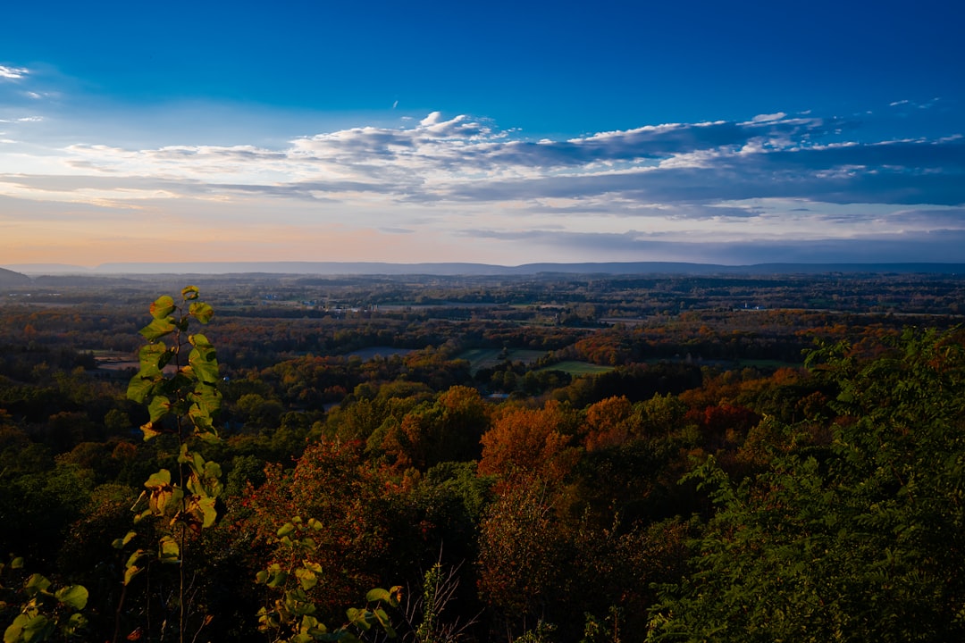 Obtaining Power of Attorney in PA: A Step-by-Step Guide